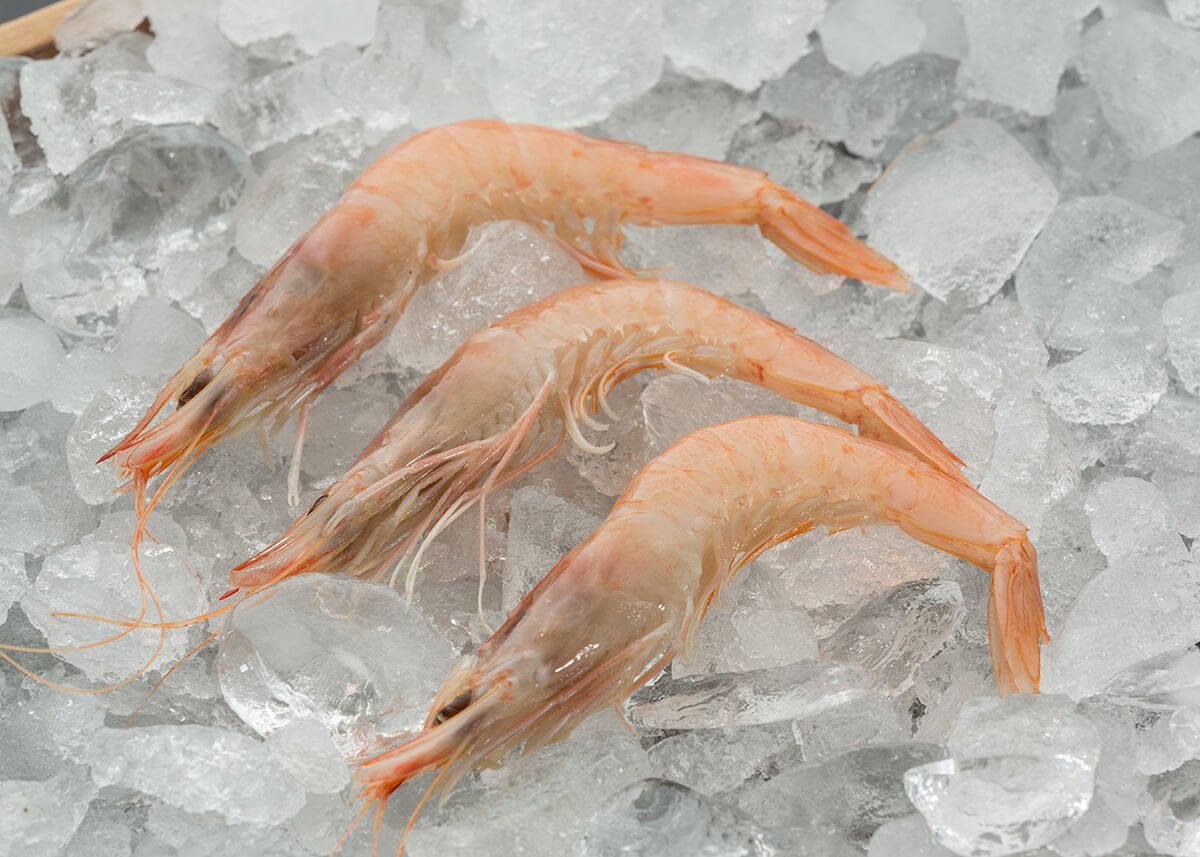 "Gamba Blanca De Huelva" Huelva White Shrimp (60-70 units) — ARC ...